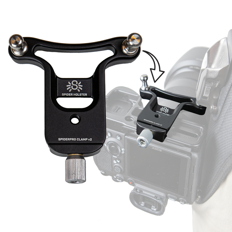 Spider Holster | Camera Carrying Systems and Accessories – spiderholster